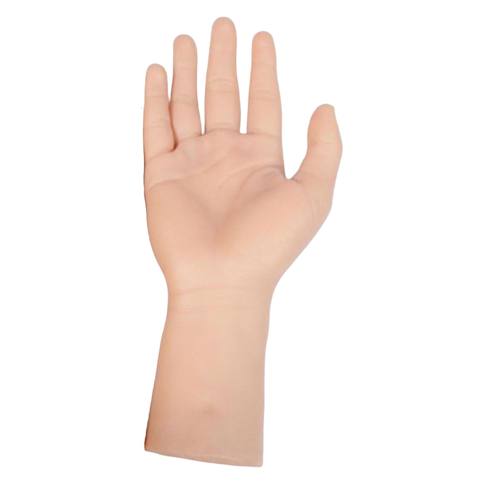 Silicone Practice Sized Hand Model, Hands, for Education, Display ...