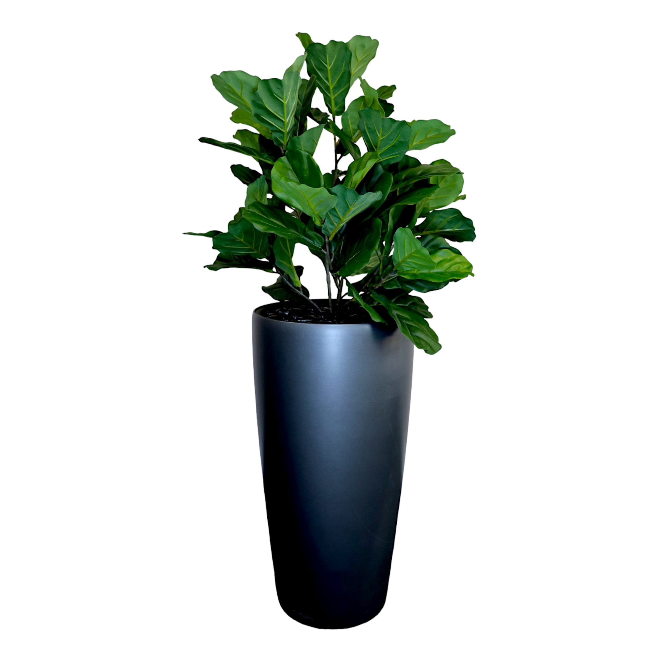 Silk Floral Gallery Fiddle Plant in Tall Planter - Walmart.com