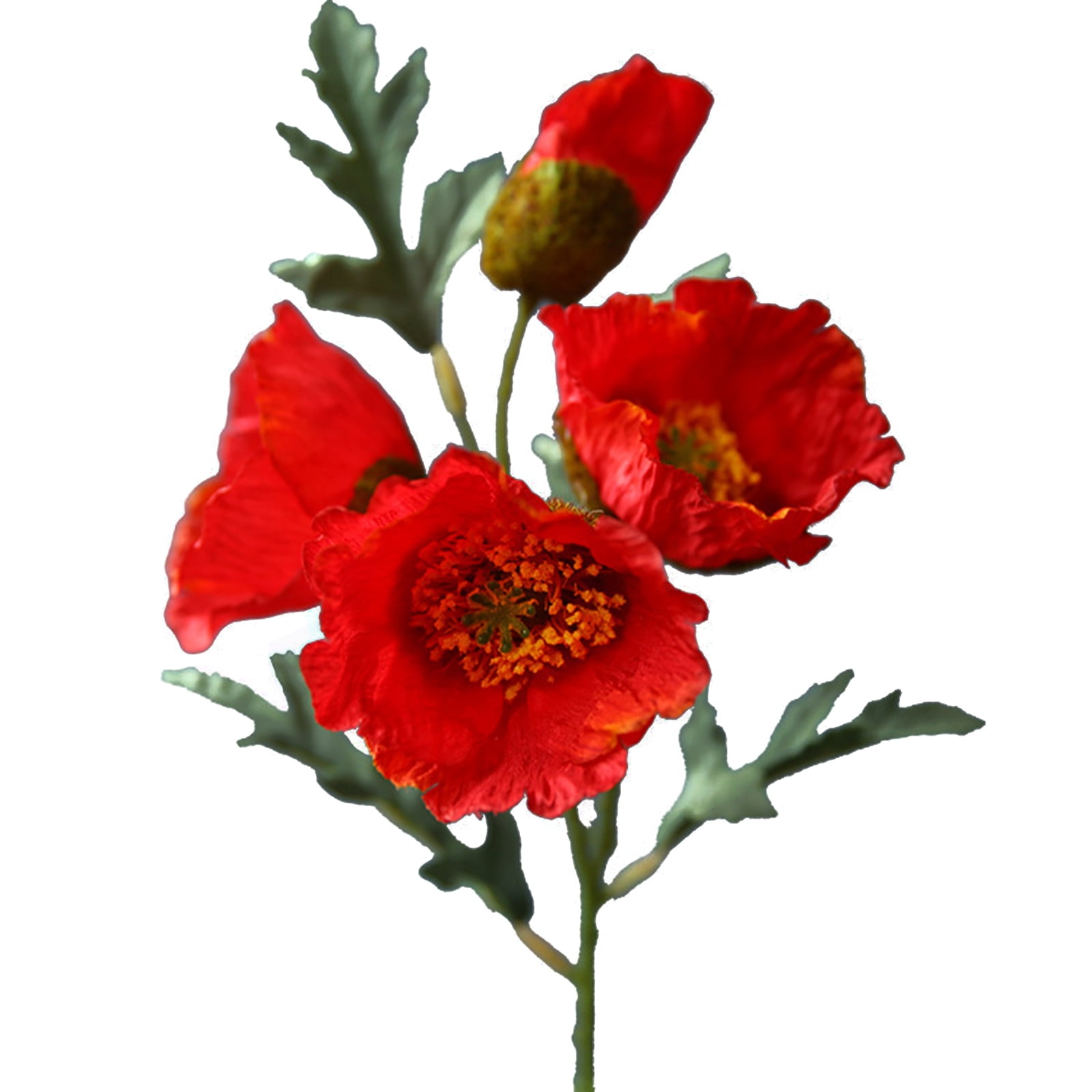 Silk Flower Artificial Poppies Cuttings Yu Beauty Dried Flowers ...