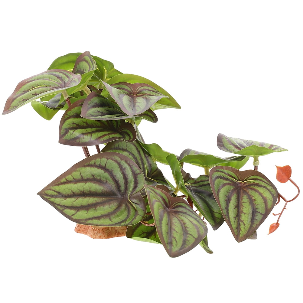 Silk Plants for Aquarium Artificial Crested Gecko Lizard Terrarium ...