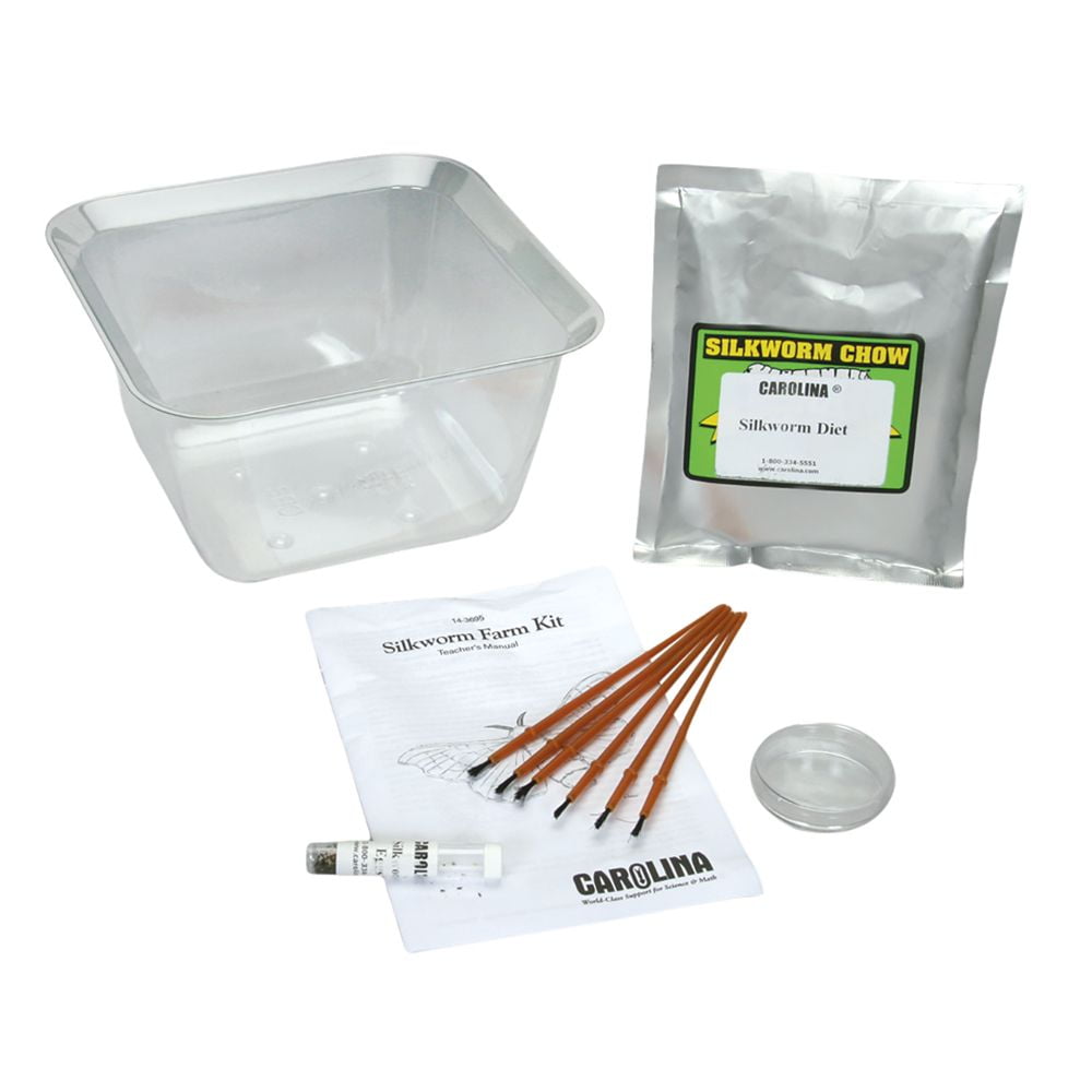 Silkworm (Bombyx Mori) Farm Kit - Walmart.com