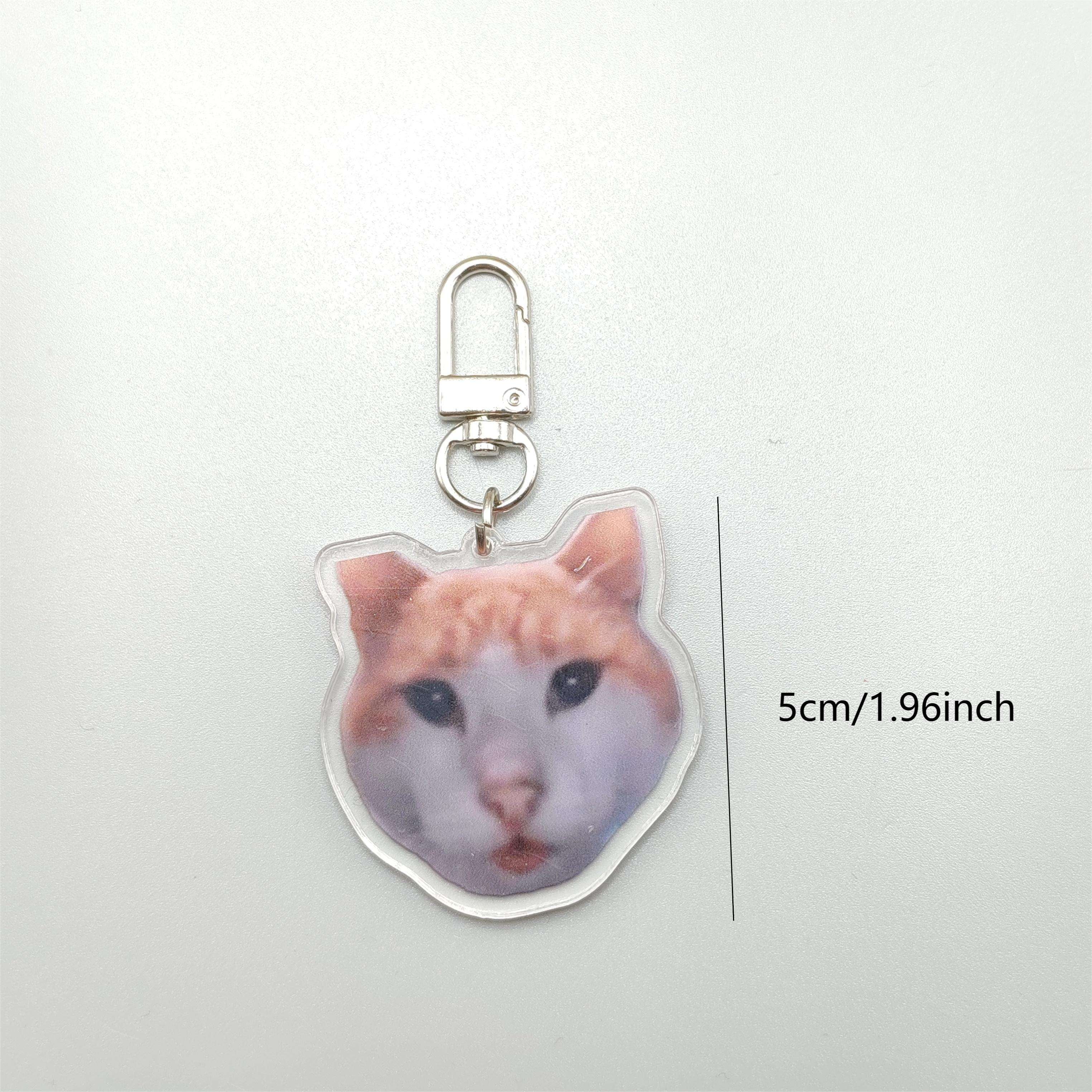 Silly Cat Feeder Camera Cats Cat Looking At Camera Meme Mr.Fresh Cat ...