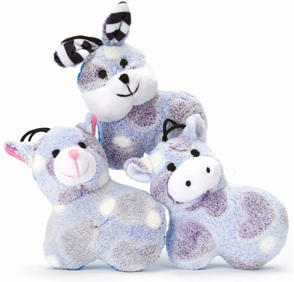 Silly Squad Cute Cuddly Dog Toys Fun Heart Embossed Squeaky Animals ...