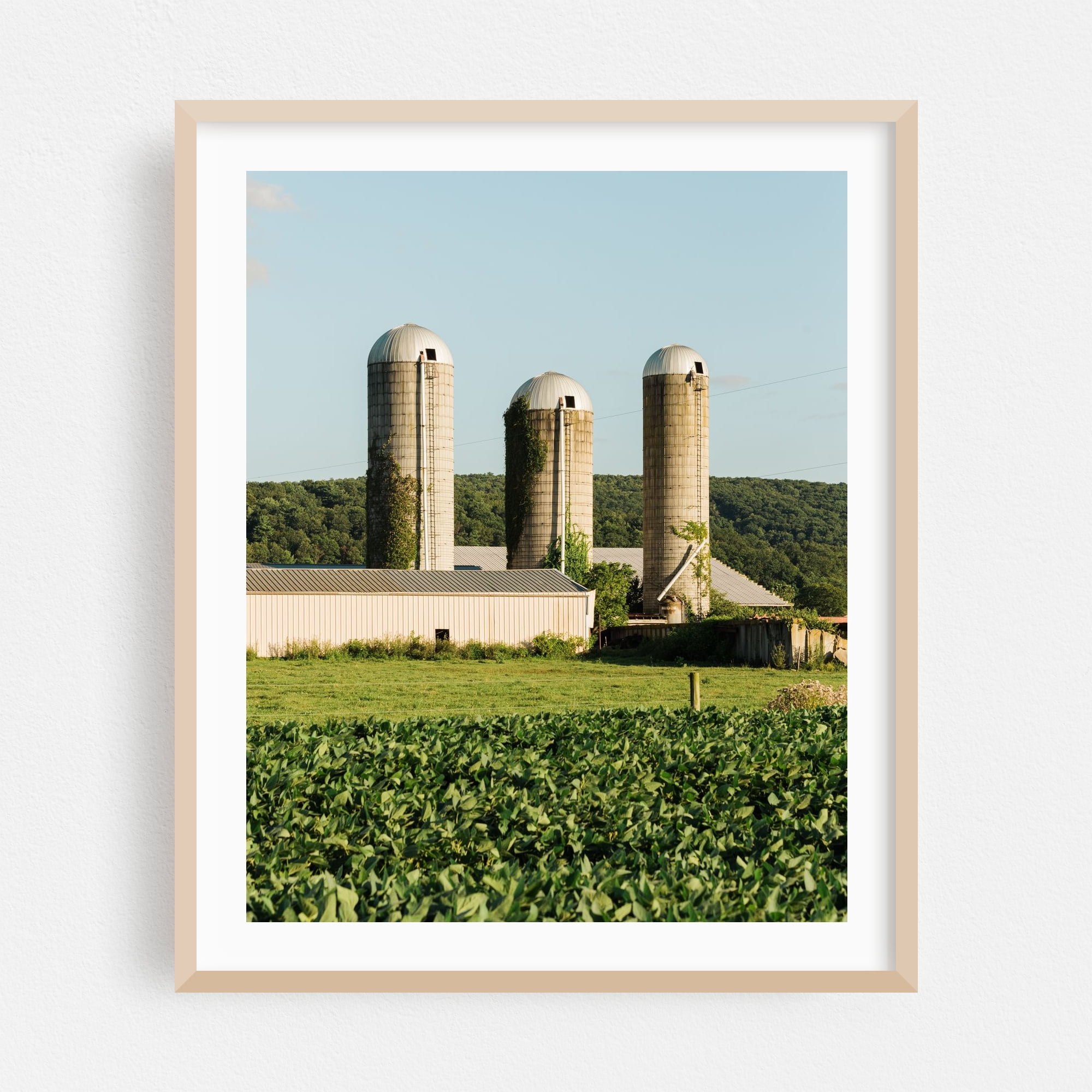 Silos, Perry County 01 - Pennsylvania Photography Farmhouse Rural Barn ...