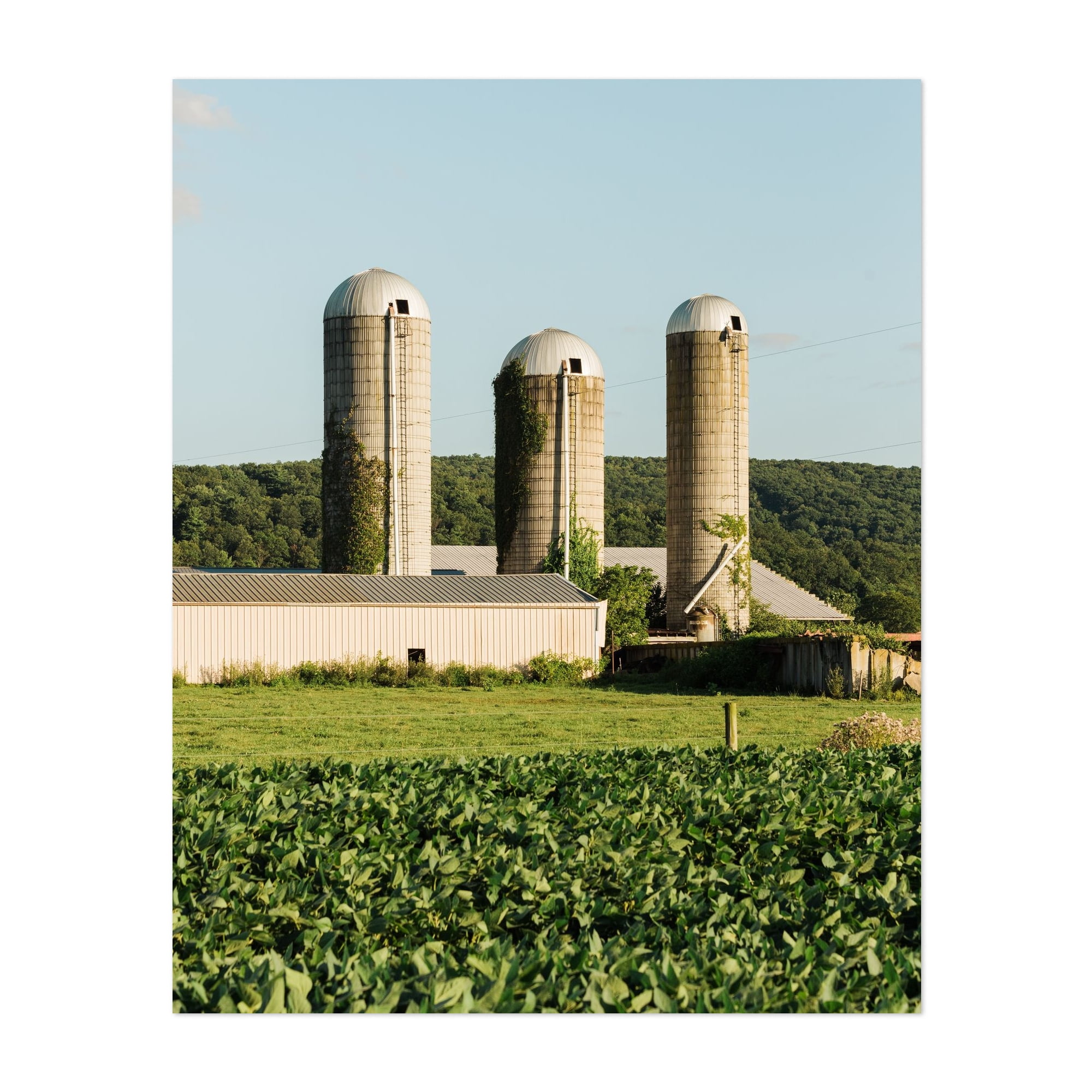 Silos, Perry County 01 - Pennsylvania Photography Farmhouse Rural Barn Landscape Rustic Scenic ...
