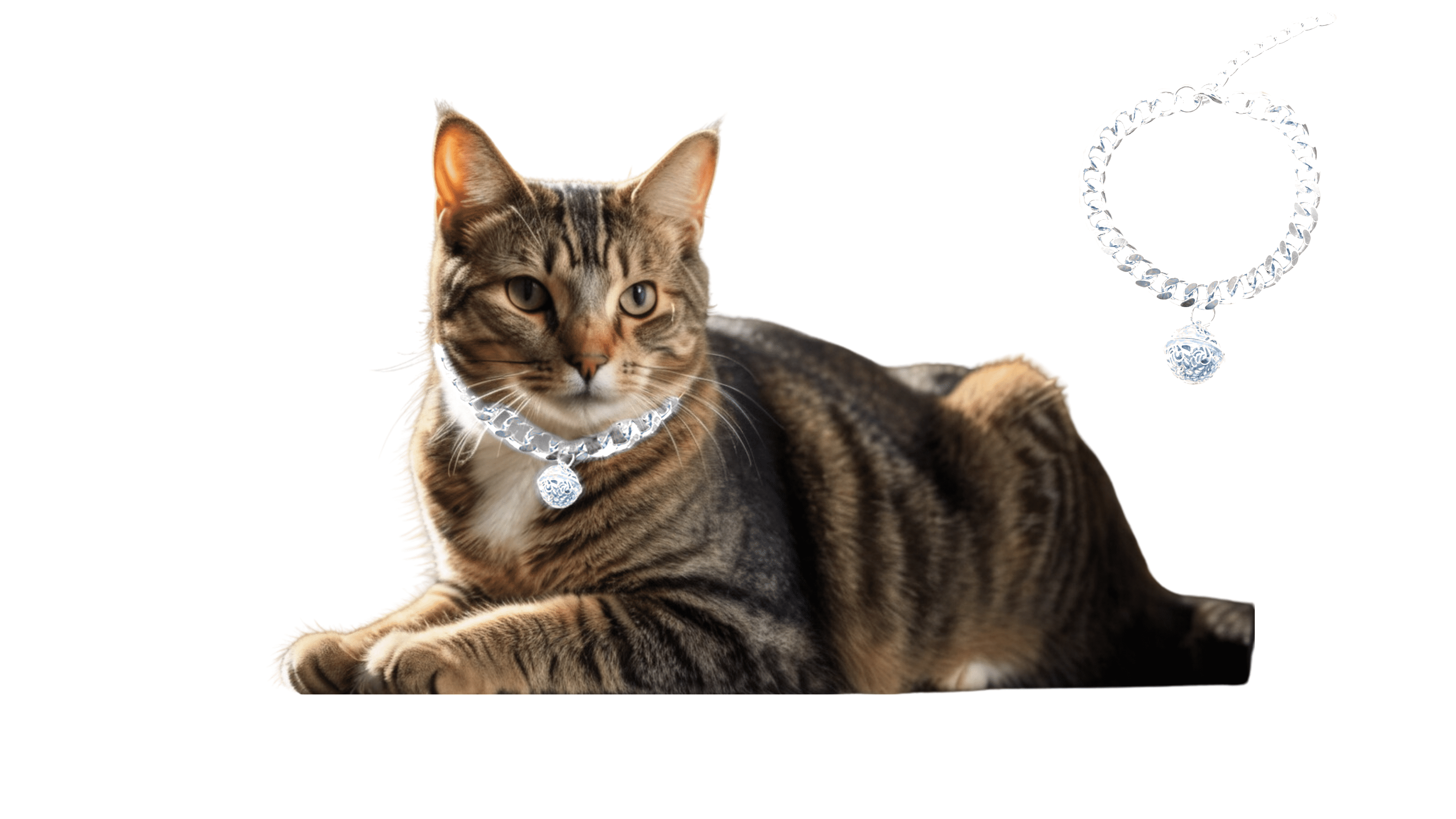 Silve Cat Chain Collar with Bell, Lightweight Metal Necklace with ...