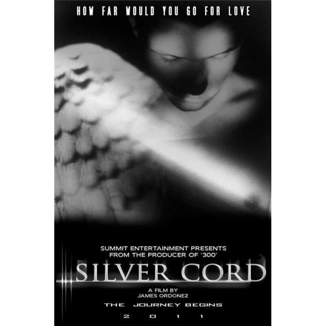 Silver Cord Movie Poster - 27 x 40 in. - Walmart.com