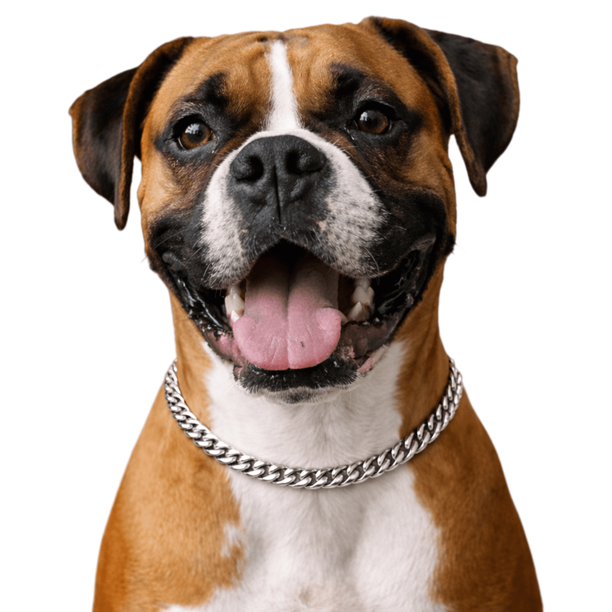 Silver Cuban Link Dog Chain Collar,Heavy-Duty,Fade-Resistant Metal ...