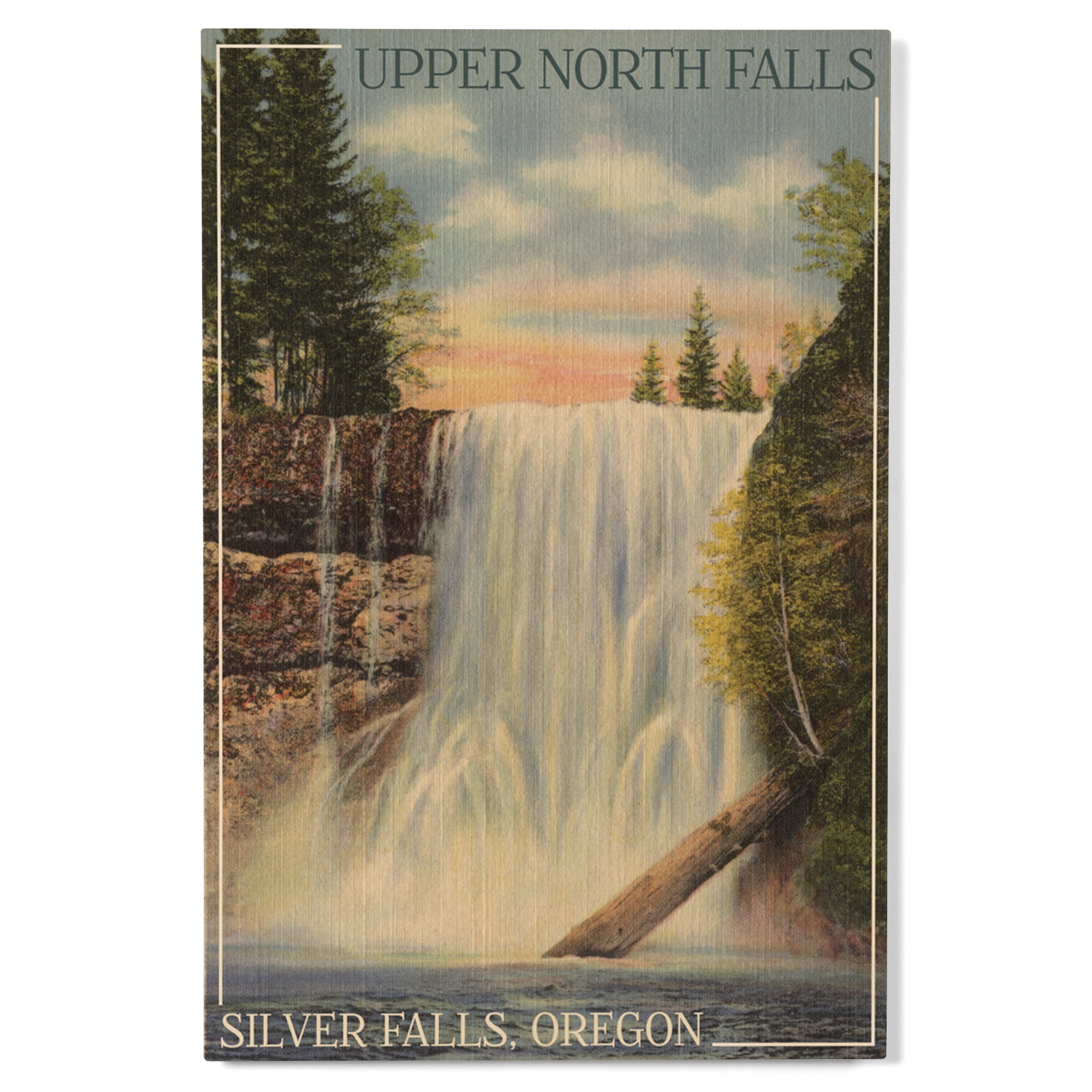 Silver Falls State Park, Oregon, Silver Falls, Vintage Postcard Birch ...