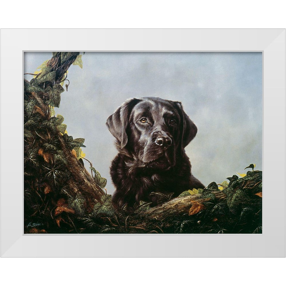 Silver, John 14x12 White Modern Wood Framed Museum Art Print Titled ...