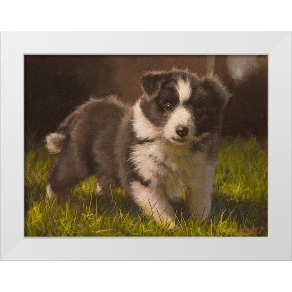 Silver, John 18x14 White Modern Wood Framed Museum Art Print Titled ...