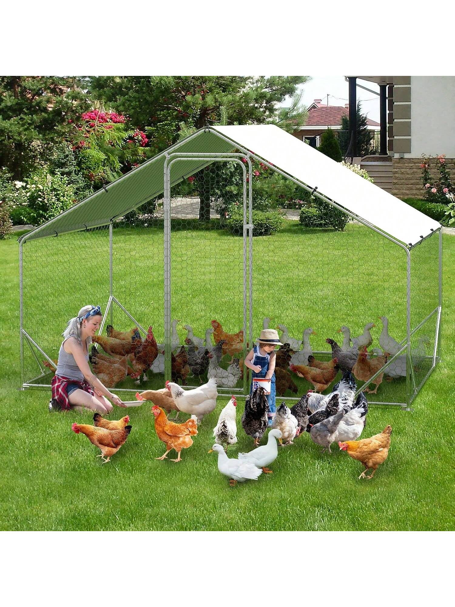 Silver-L Metal , Spire-Roof Poultry Cage With Waterproof And Anti ...