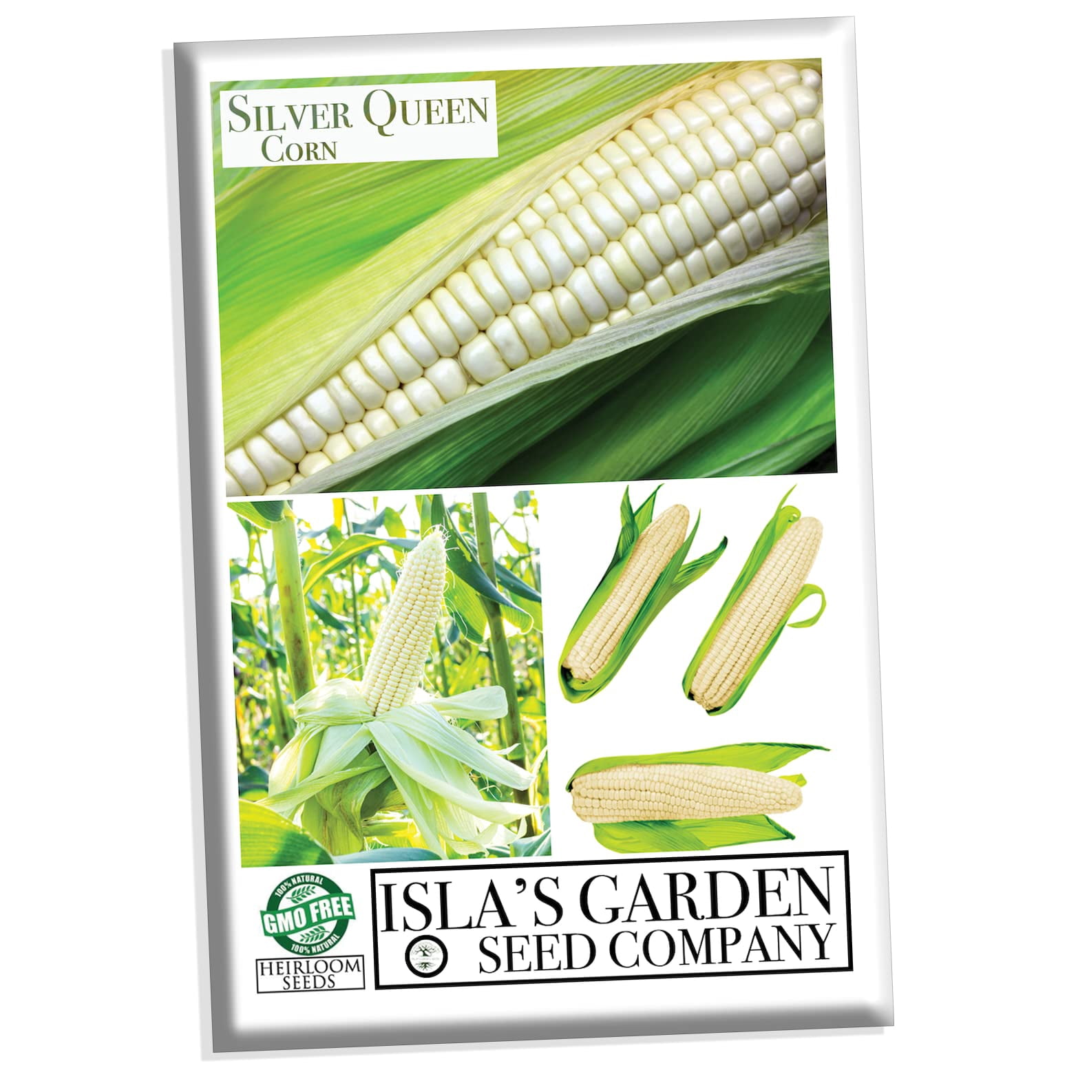 Silver Queen Corn TWE5 Seeds for Planting, 50+ Heirloom Seeds Per ...
