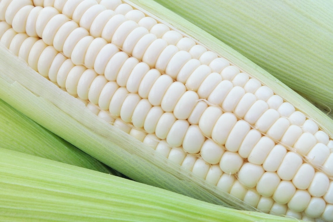 Silver Queen Sweet Corn Premium Seeds Packet for Garden - Walmart.com