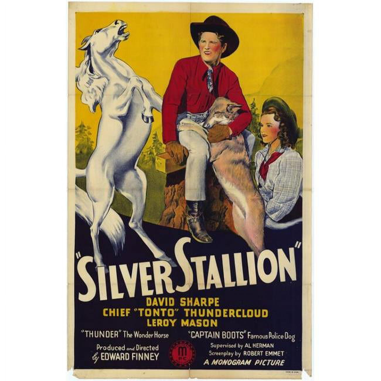Silver Stallion Movie Poster - 27 x 40 in. - Walmart.com