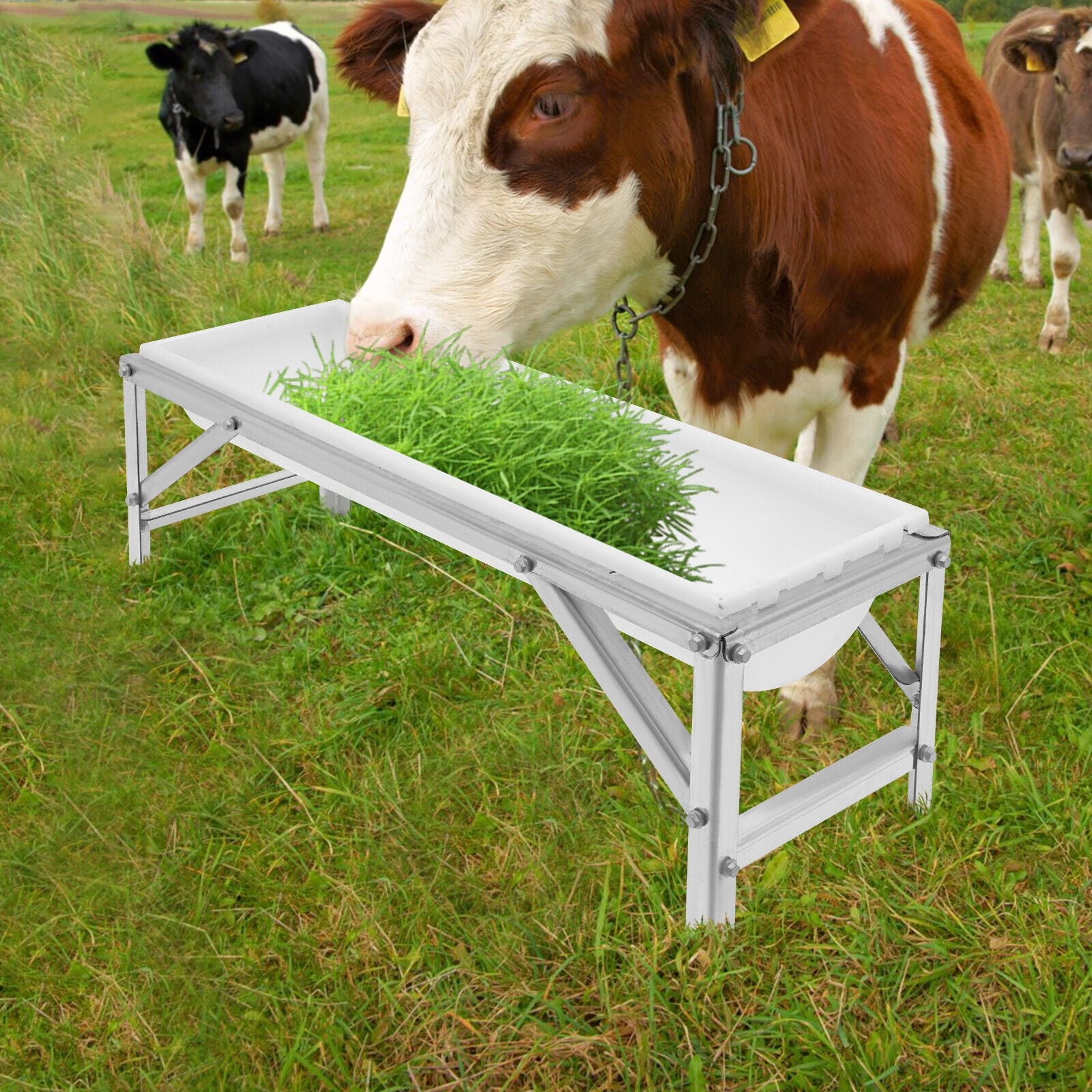 Silver White Livestock Feed Trough, Long Large Capacity Feeder, Feed ...