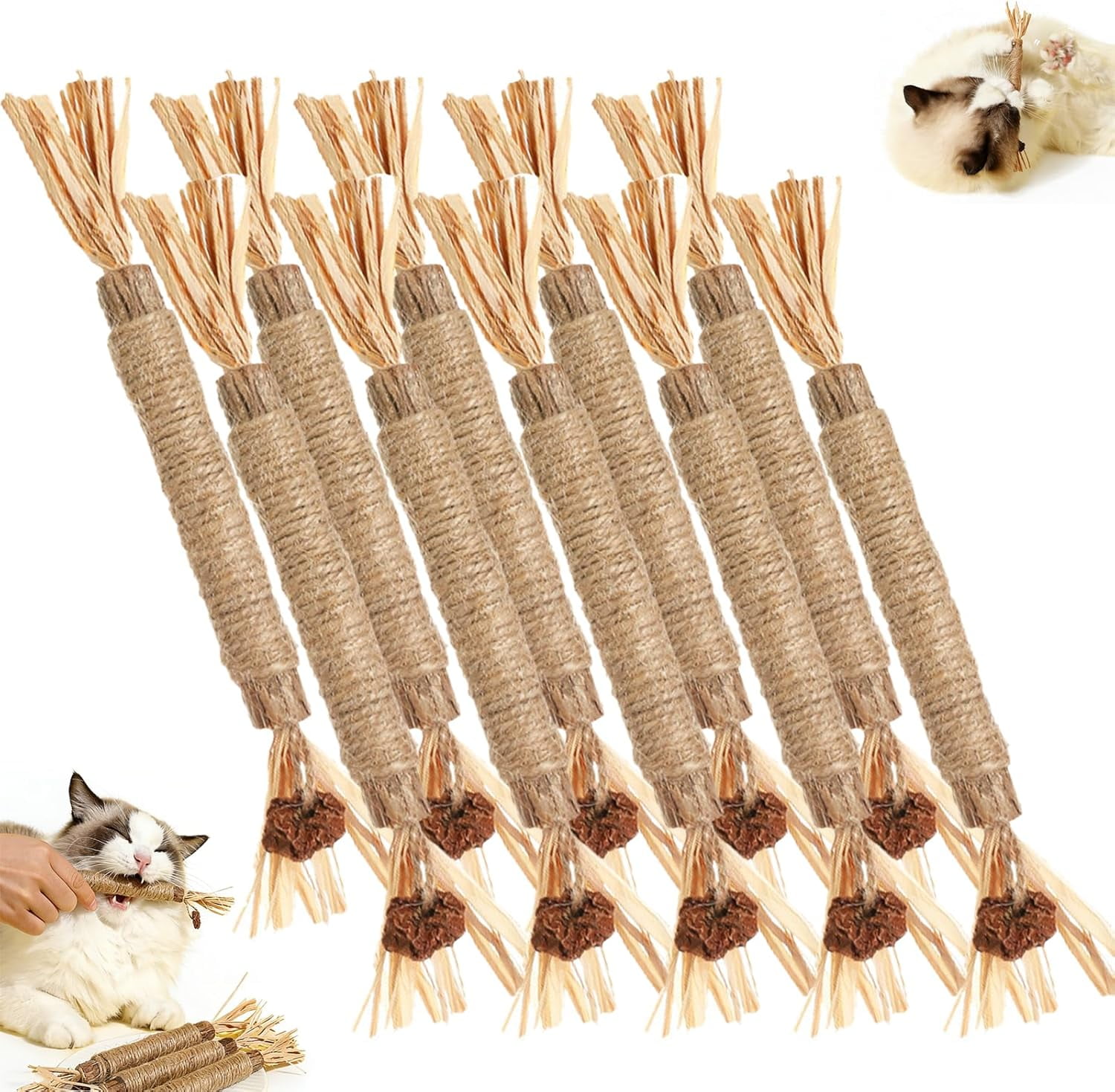 Silvervine Sticks for Cats – Natural Cat Chew Sticks for Dental Care ...