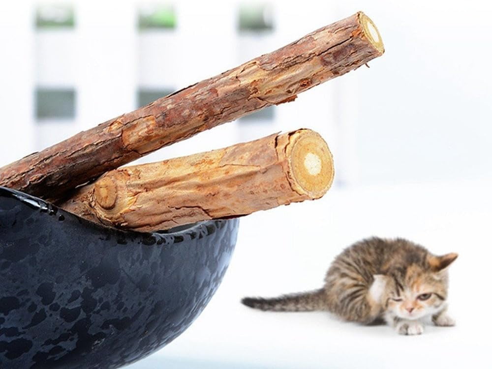 Silvervine Sticks for Cats, Natural Catnip Matatabi Chew Sticks Teeth ...