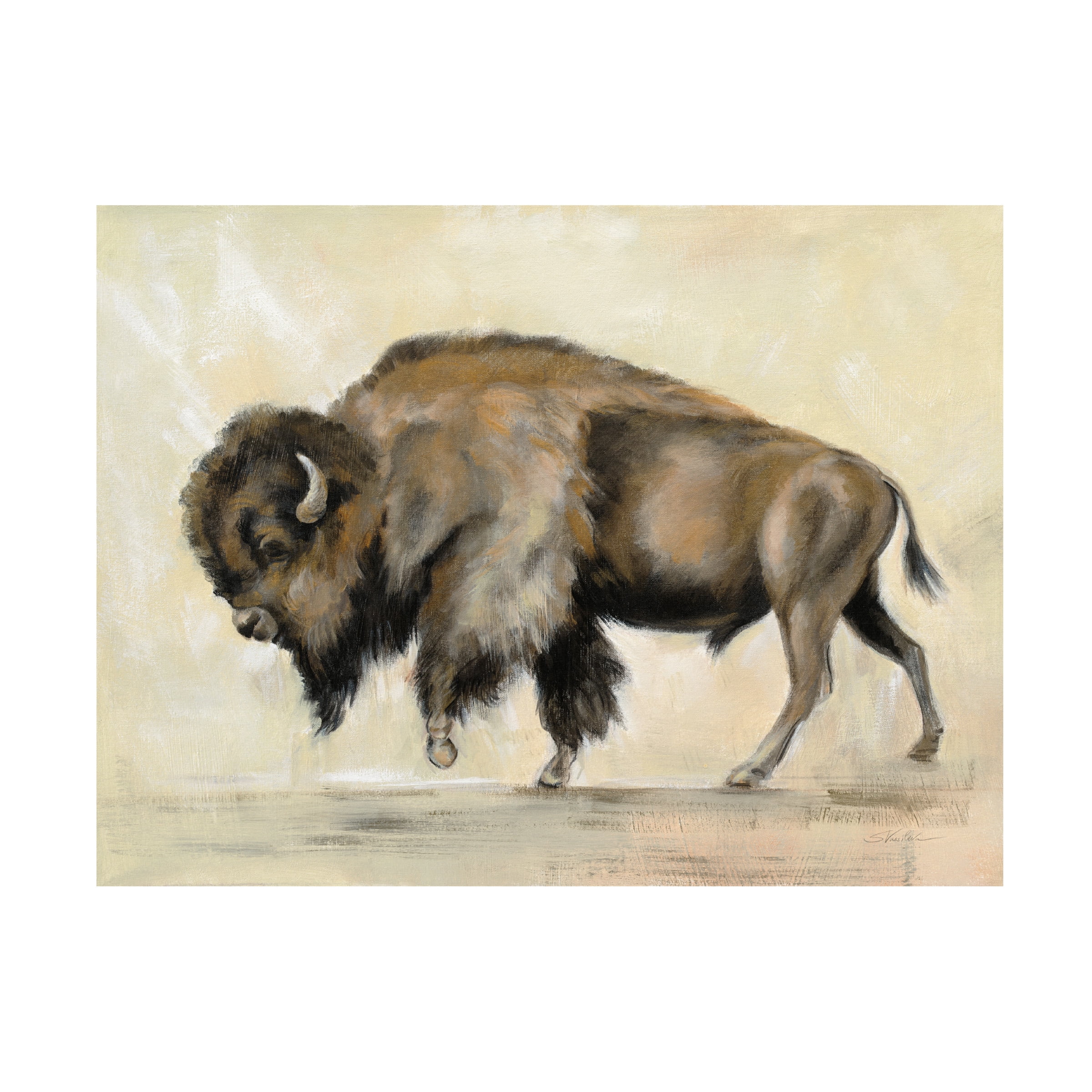 Free Shipping! Trademark Fine Art Silvia Vassileva Bronze Buffalo ...