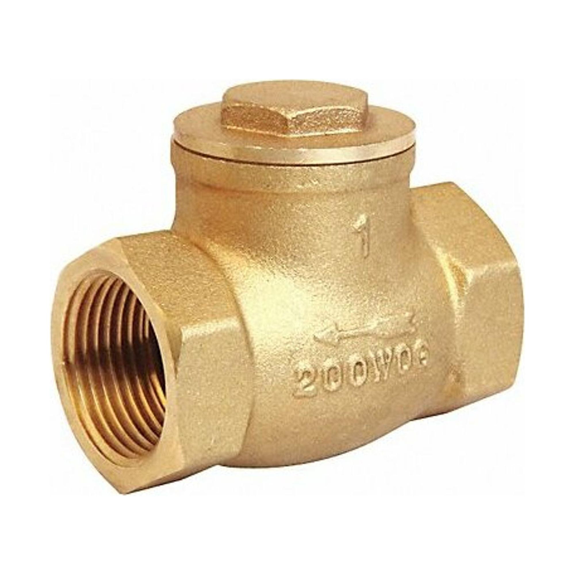 Manufacturer Varies Swing Check Valve,2.0625 in Overall L 10F322 ...