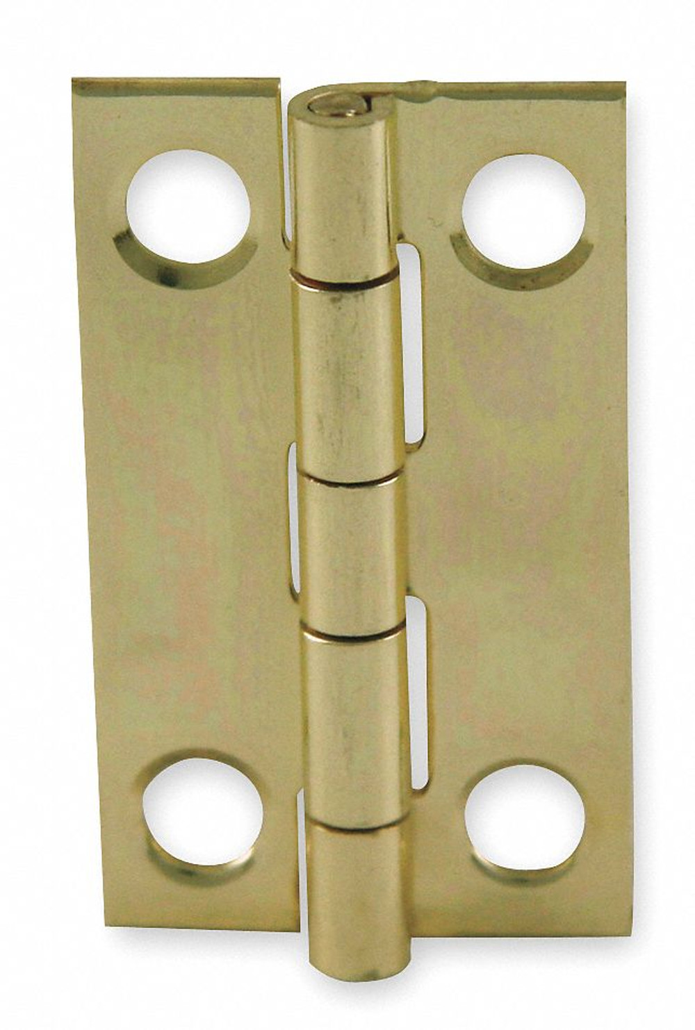 Sim Supply Utility Hinge,Narrow,Brass,PK2 1XMC4 1XMC4 ZO-G2931616 ...