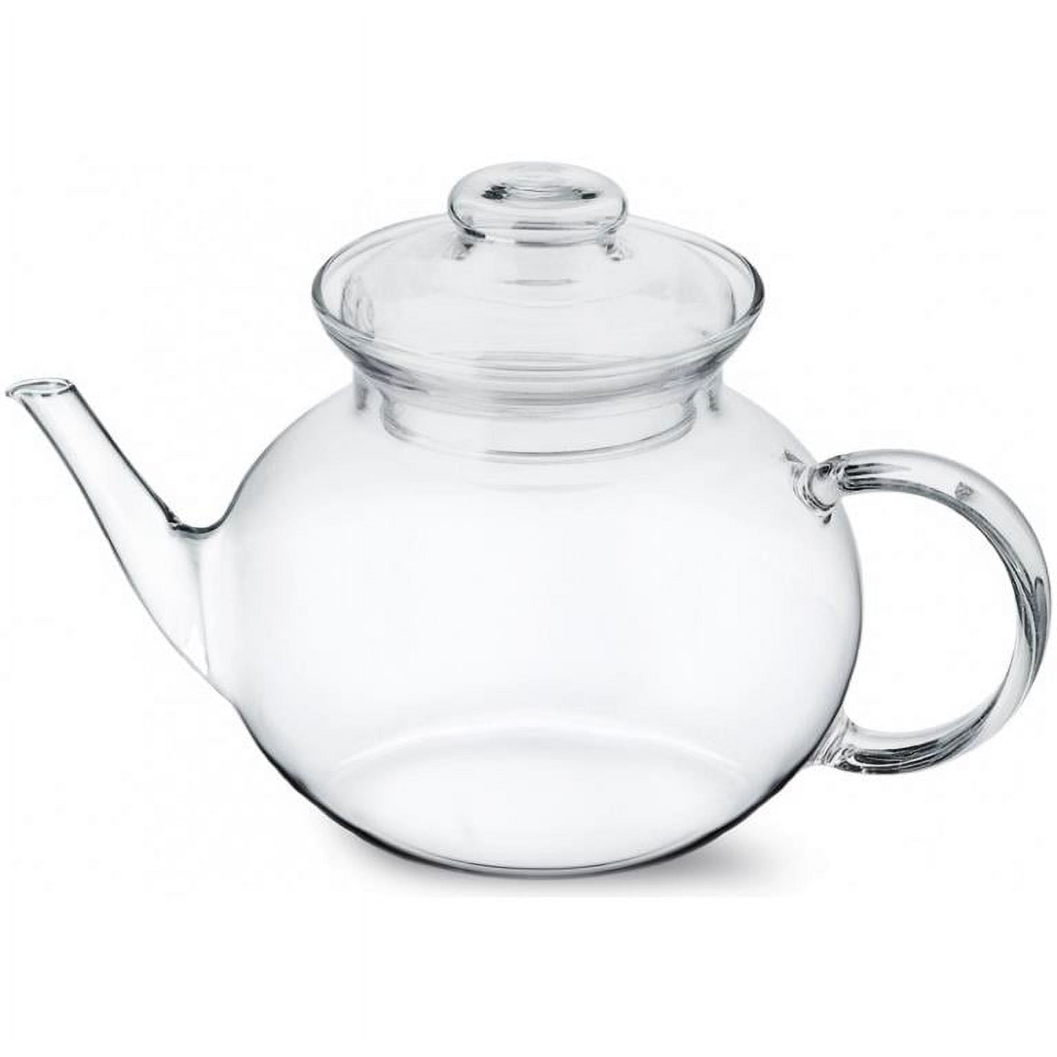Simax Glassware Eva Teapot Long Spout with Glass Insert 3373 - Walmart.com