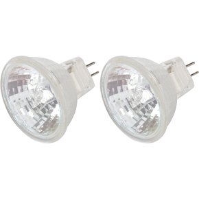 2 Prong Light Bulb