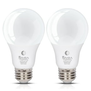 120V LED Light Bulbs