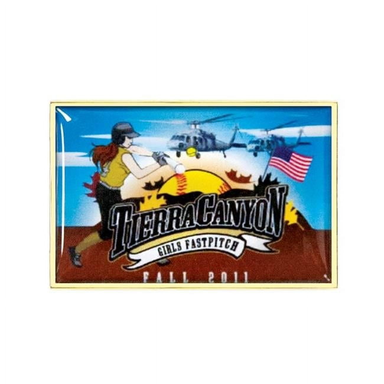 Simba Rectangle Lapel Pin - Walmart.com