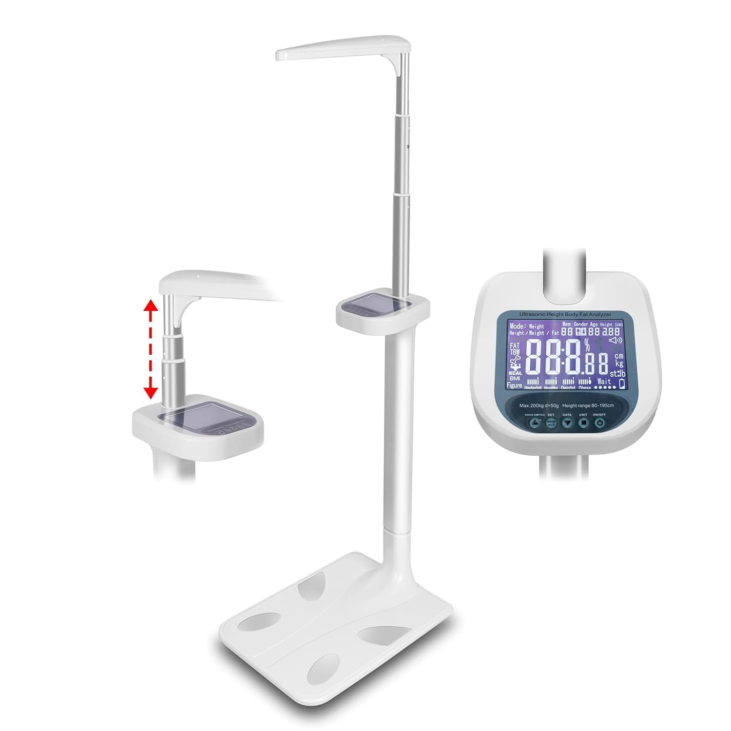 Simin, Professional Digital Physician Scale, Ultrasonic Height and ...