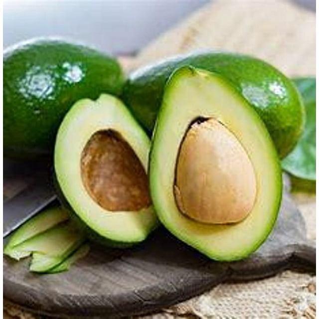 Simmonds Grafted Avocado Tree 2-4ft Semi dwarf. We ship to ALL STATES ...