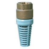 Simmons 487SB Lead Free Female Thread Foot Valve - Walmart.com