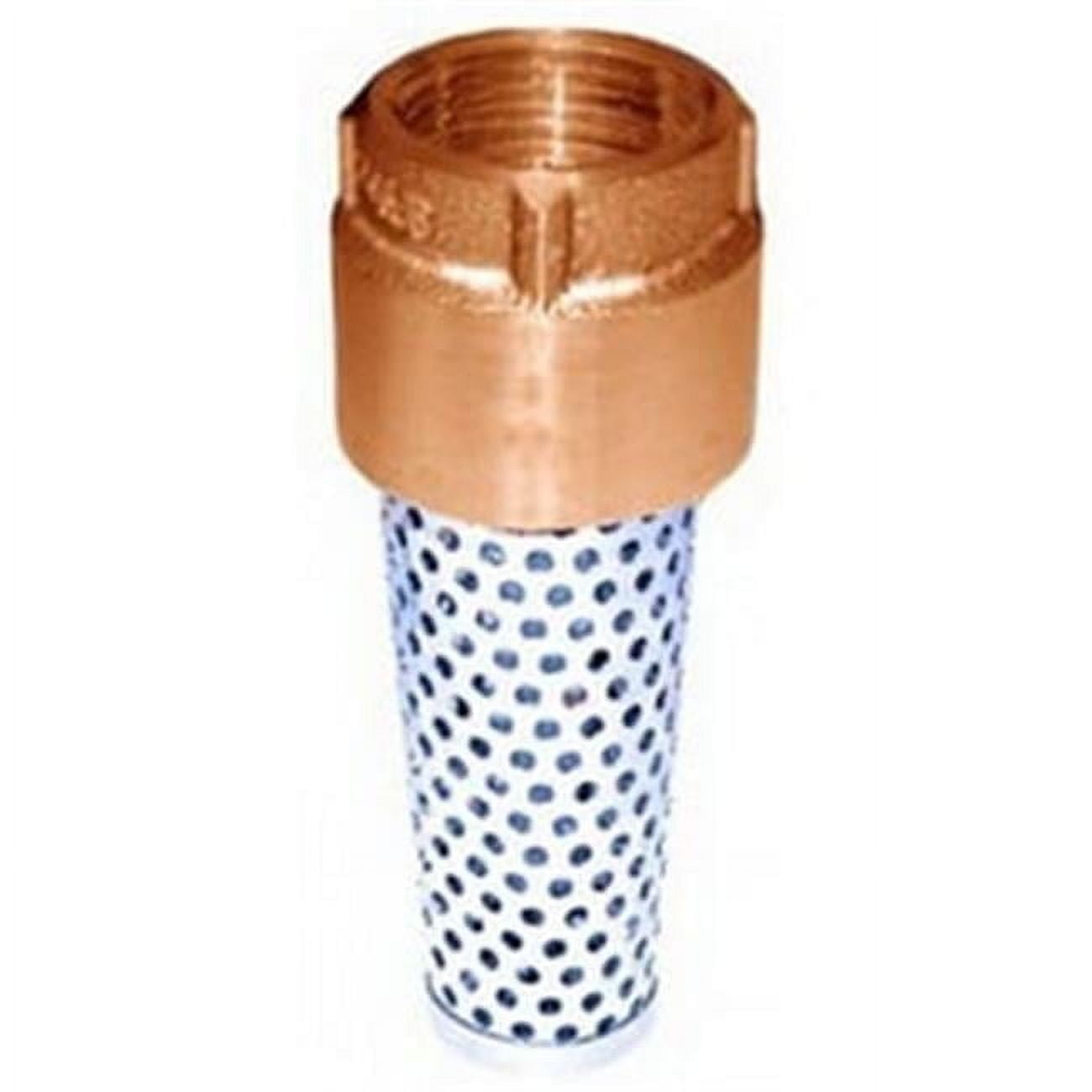 Simmons Stainless Steel Spring Foot Valve - Walmart.com