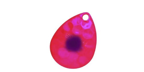 Simon 3.5 Colorado Hex Spinner Blades 2-Pack, Fluorescent Pink with ...