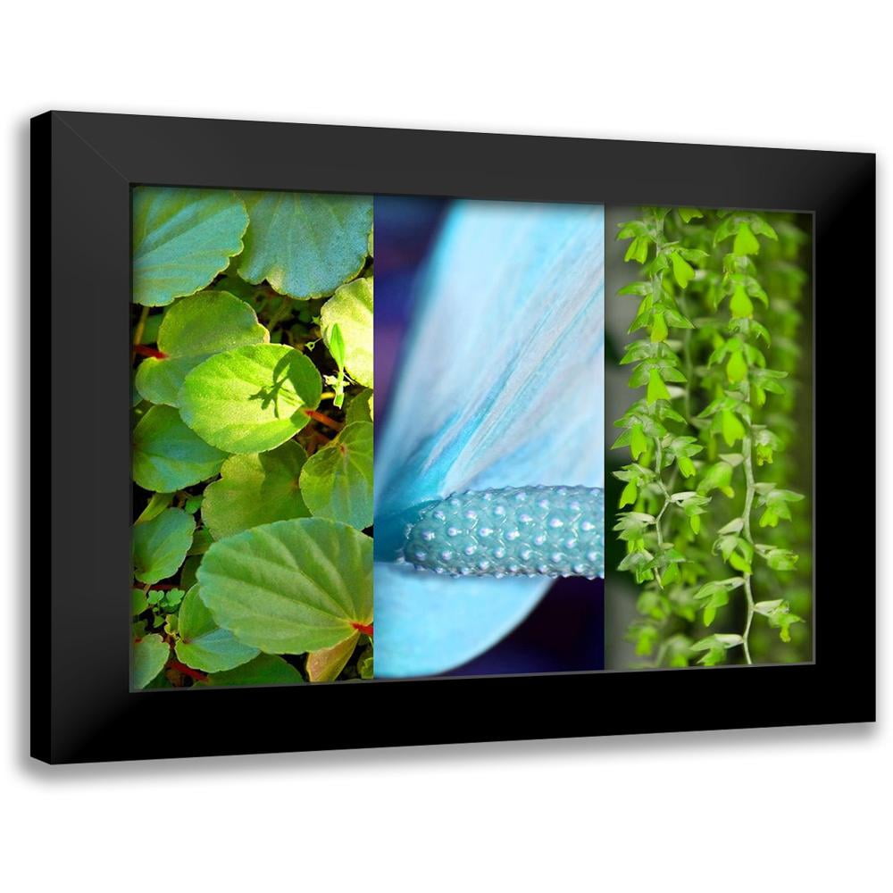Simons 14x12 Black Modern Framed Museum Art Print Titled - Nature in ...