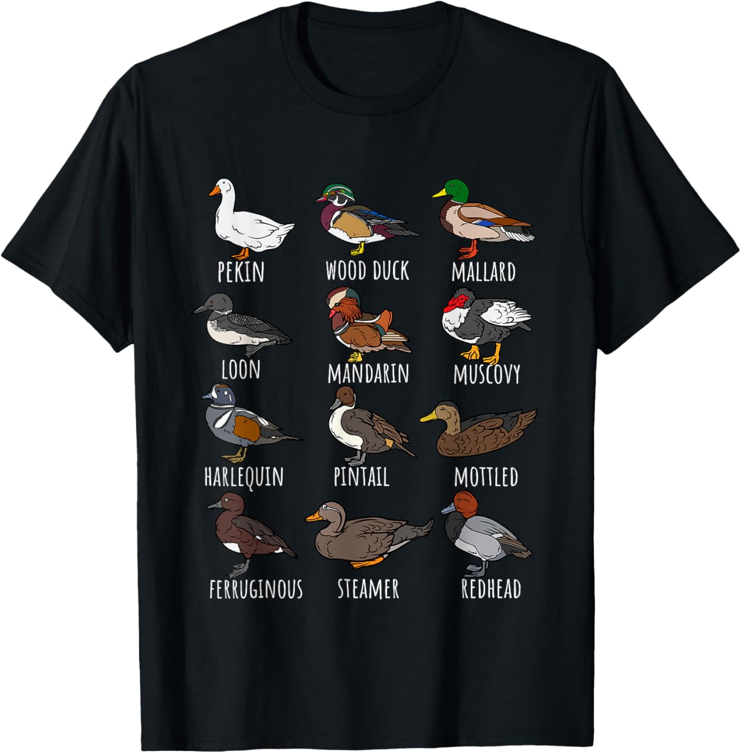 Simple Fit Types Of Ducks Breeds Collection,Cute Identification Duck T ...