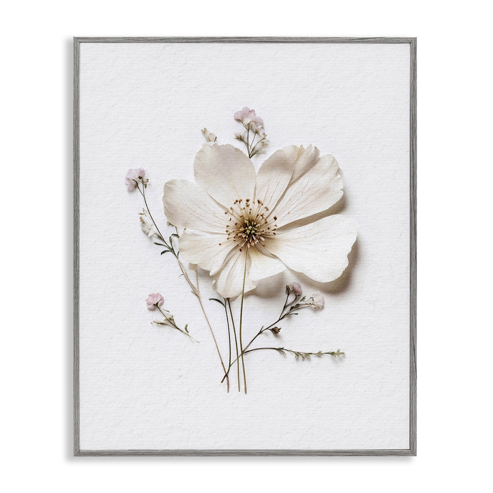 Simple Pressed Cottage Flower Gray Framed Giclee Art, design by ...