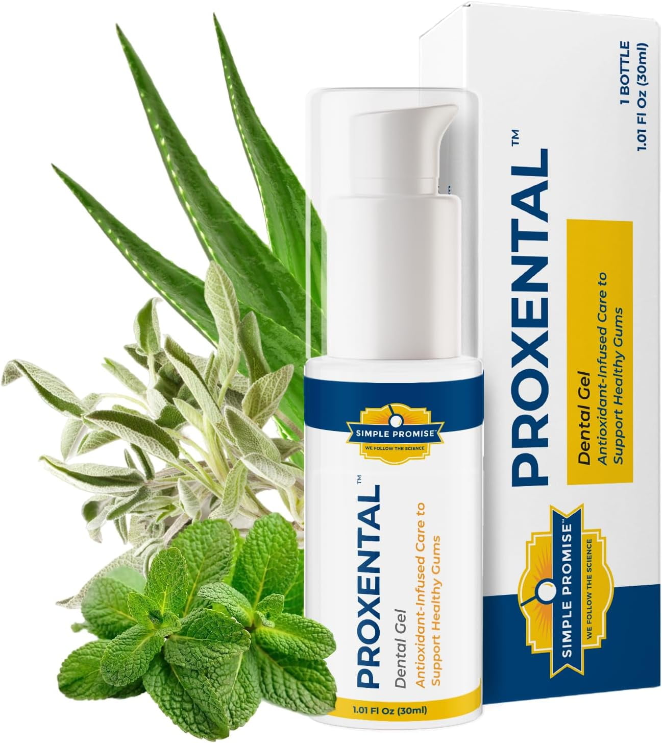 Simple Promise - ProXental - Dental Gel for Oral Gum Health with ...