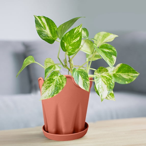Simple Silicone Flower Pot Creative Desktop Round Office Decoration ...