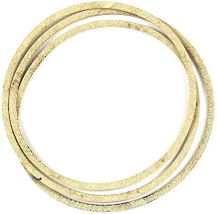 Simplicity Snapper Briggs Aramind Fiber Deep Groove V-Belt (118”) for ...