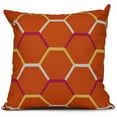 Simply Daisy, Cool Shades, Geometric Print Pillow - Walmart.com