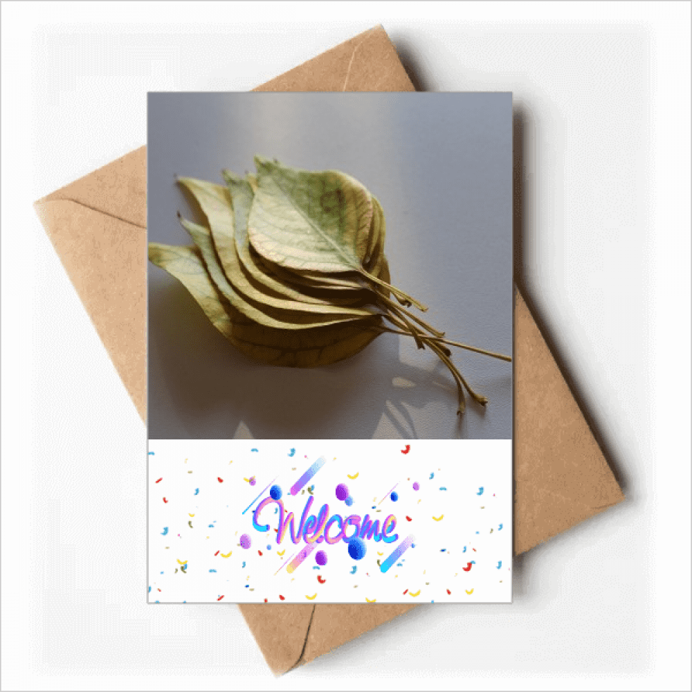Simpol Picture Nature Welcome Back Greeting Cards Envelopes Blank ...