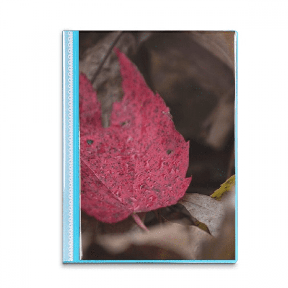 Simpol Red Maple Picture Book Sheet Protectors Portfolio Binder Folder ...