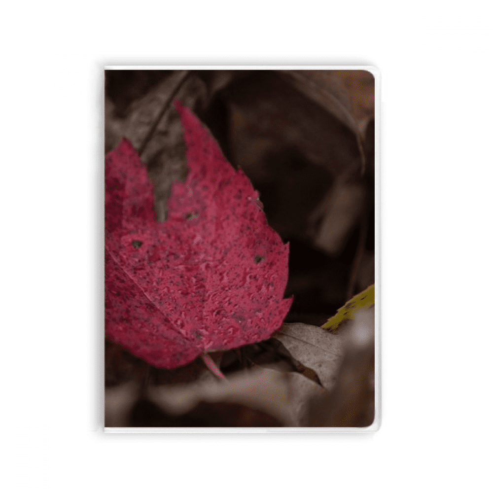 Simpol Red Maple Picture Notebook Gum Cover Diary Soft Cover Journal ...