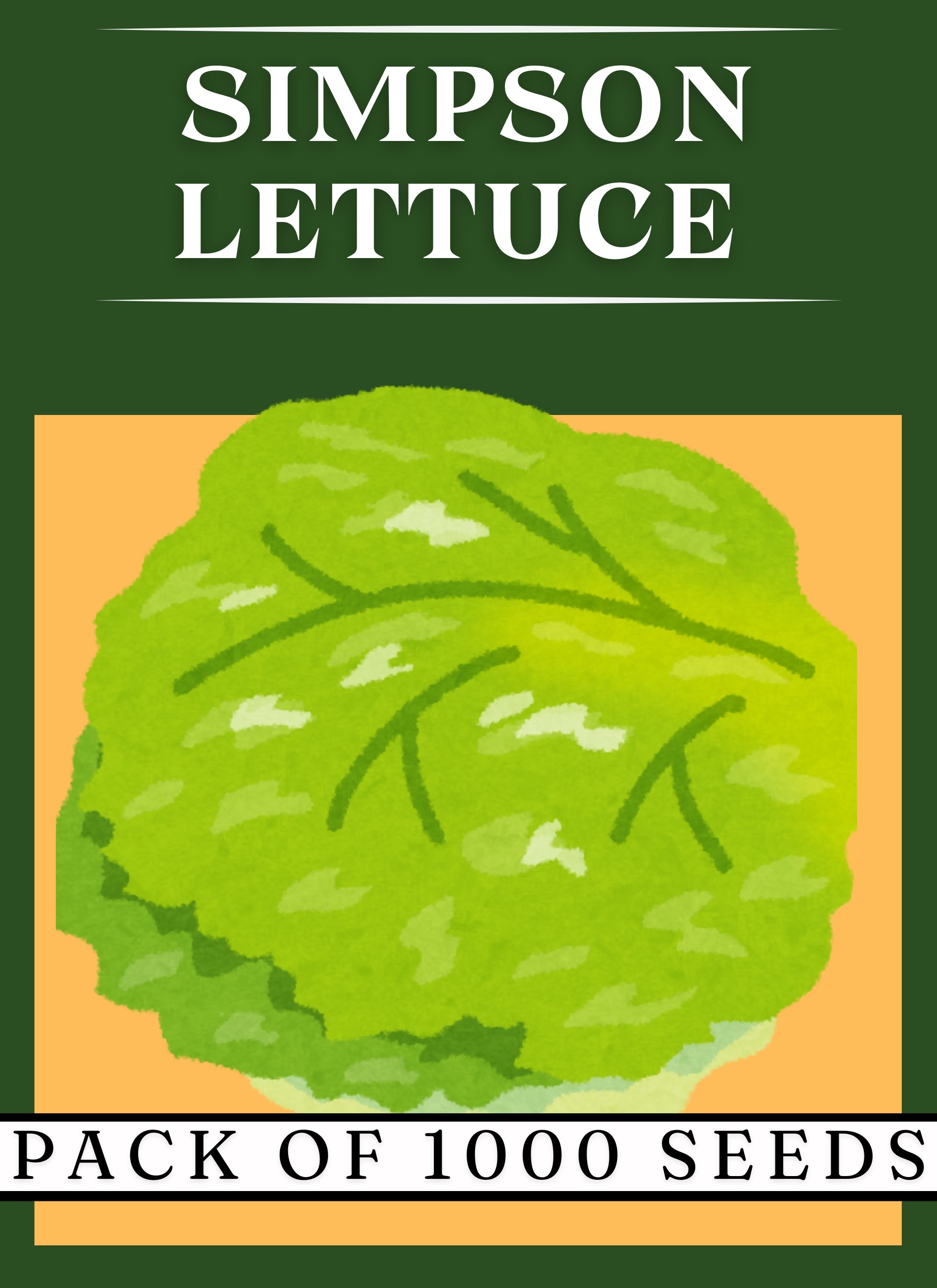 Simpson Lettuce Vegetable (1000 Seeds) | Non-GMO | Fast-Growing ...