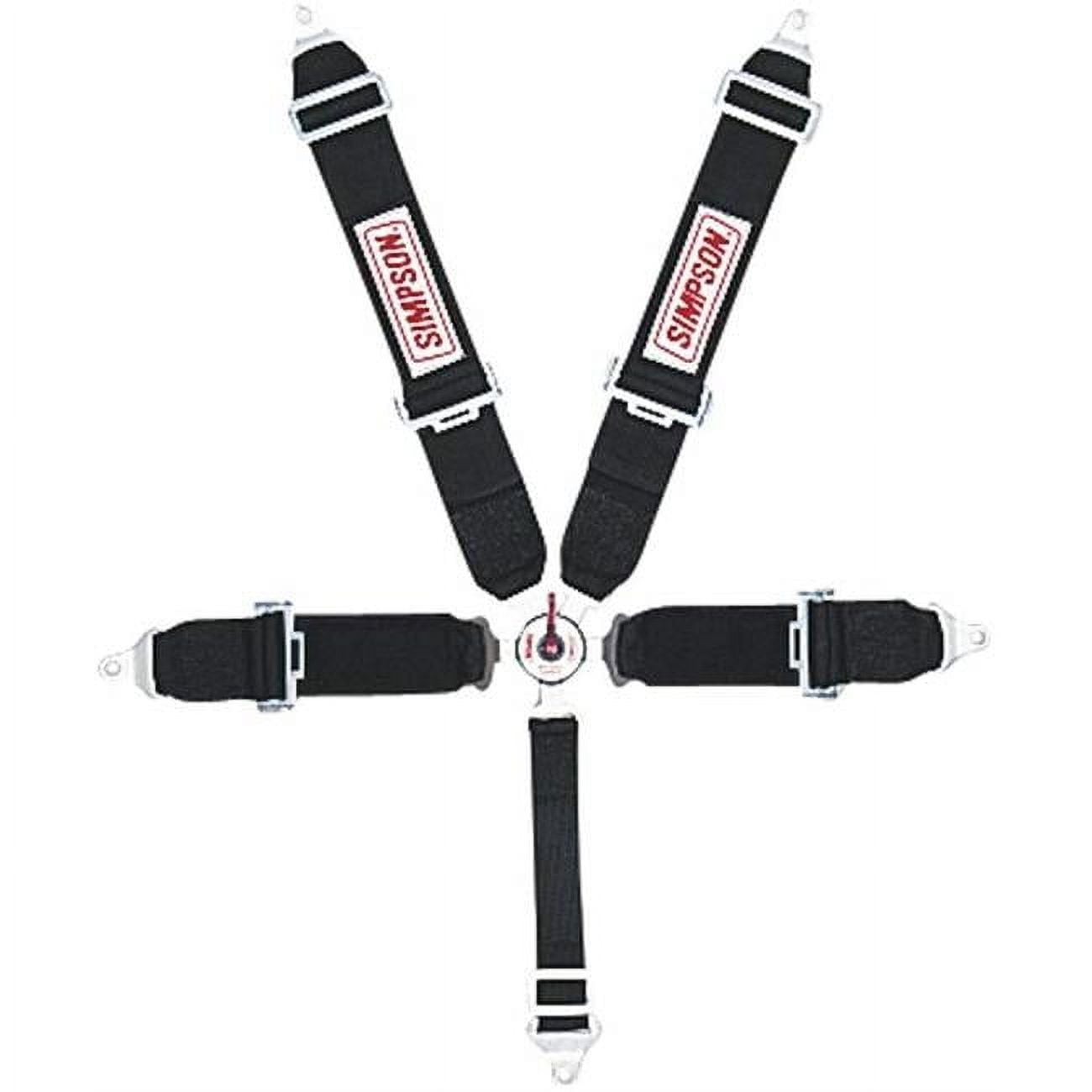 Simpson Safety 29108BK 55 in. Cam-Lock Pull-Down Bolt-In 5-Point ...