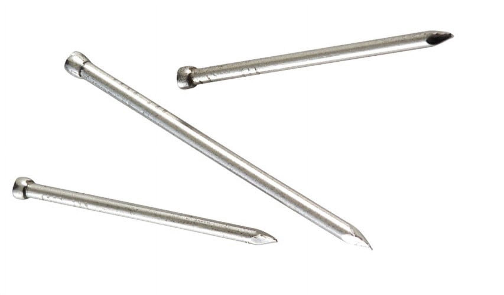 Simpson Strong-Tie 5281431 6D Swan Secure Stainless Steel Finish Nail ...