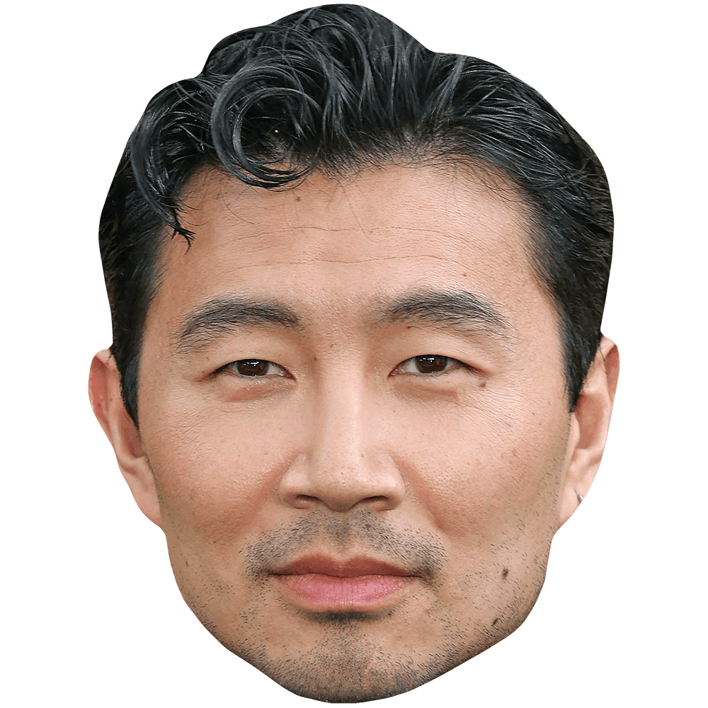 Simu Liu (No Smile) Big Head. Larger than life mask. - Walmart.com