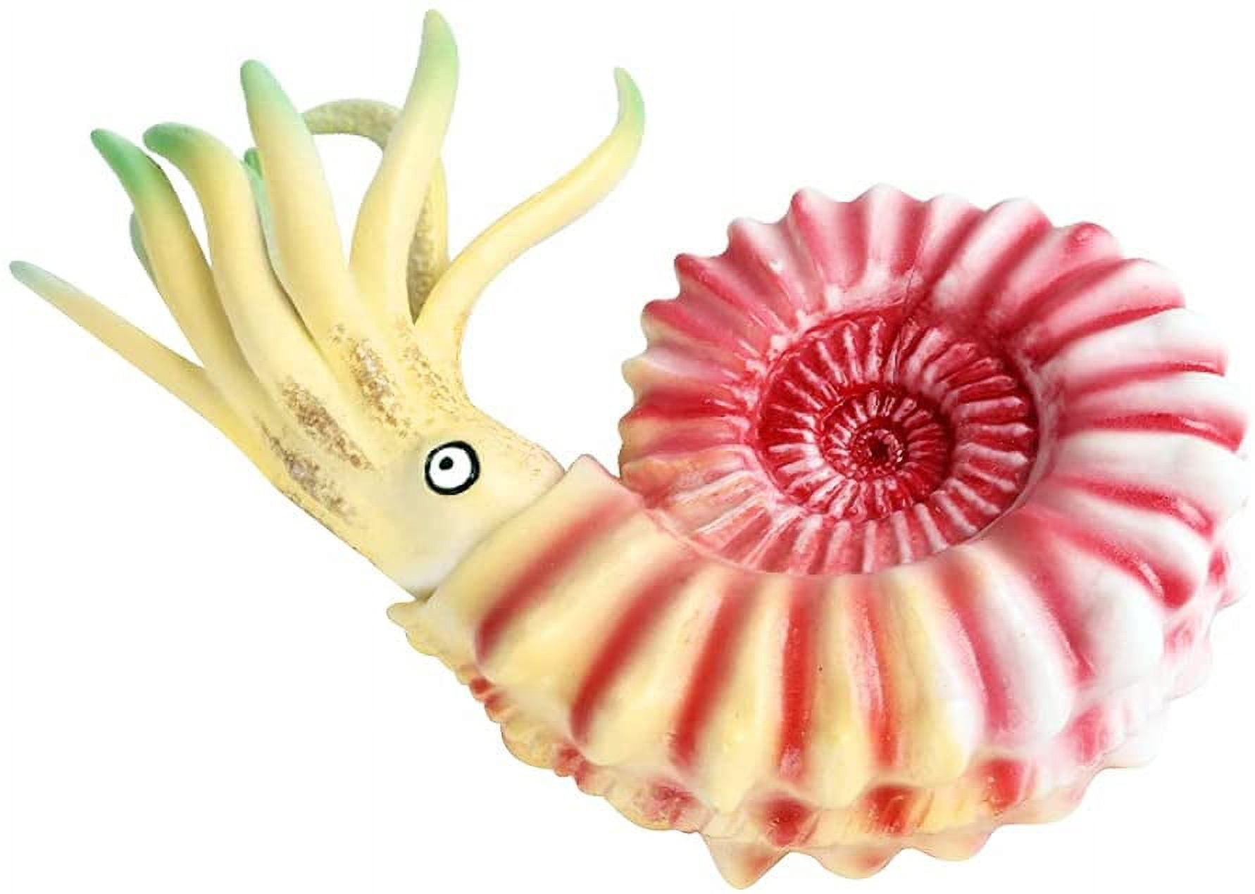 Simulated Ammonite Figurine Realistic Ammonite Model Plastic ...
