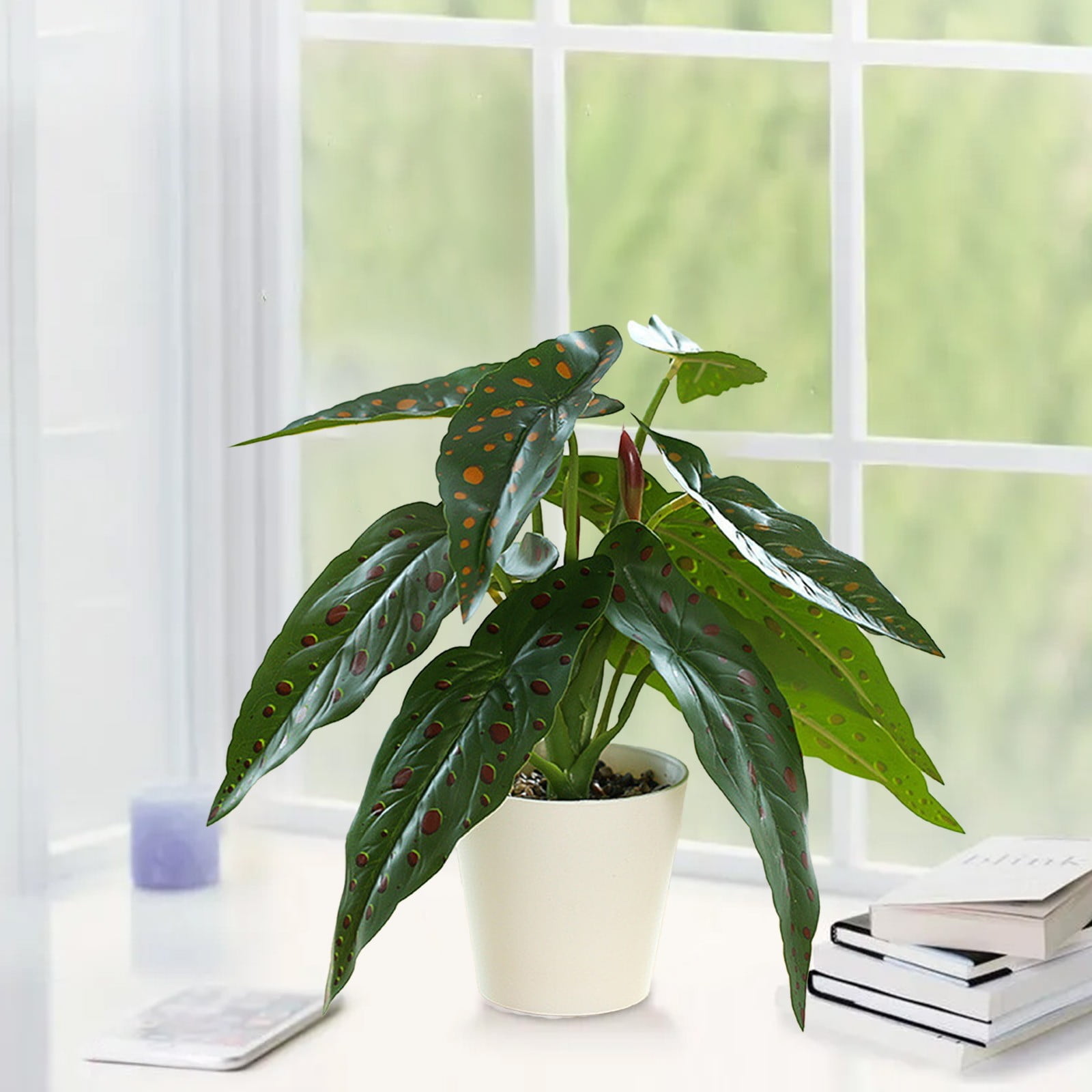 Simulated Begonia Grandis Dry Potted Plant Home Living Room Decoration ...
